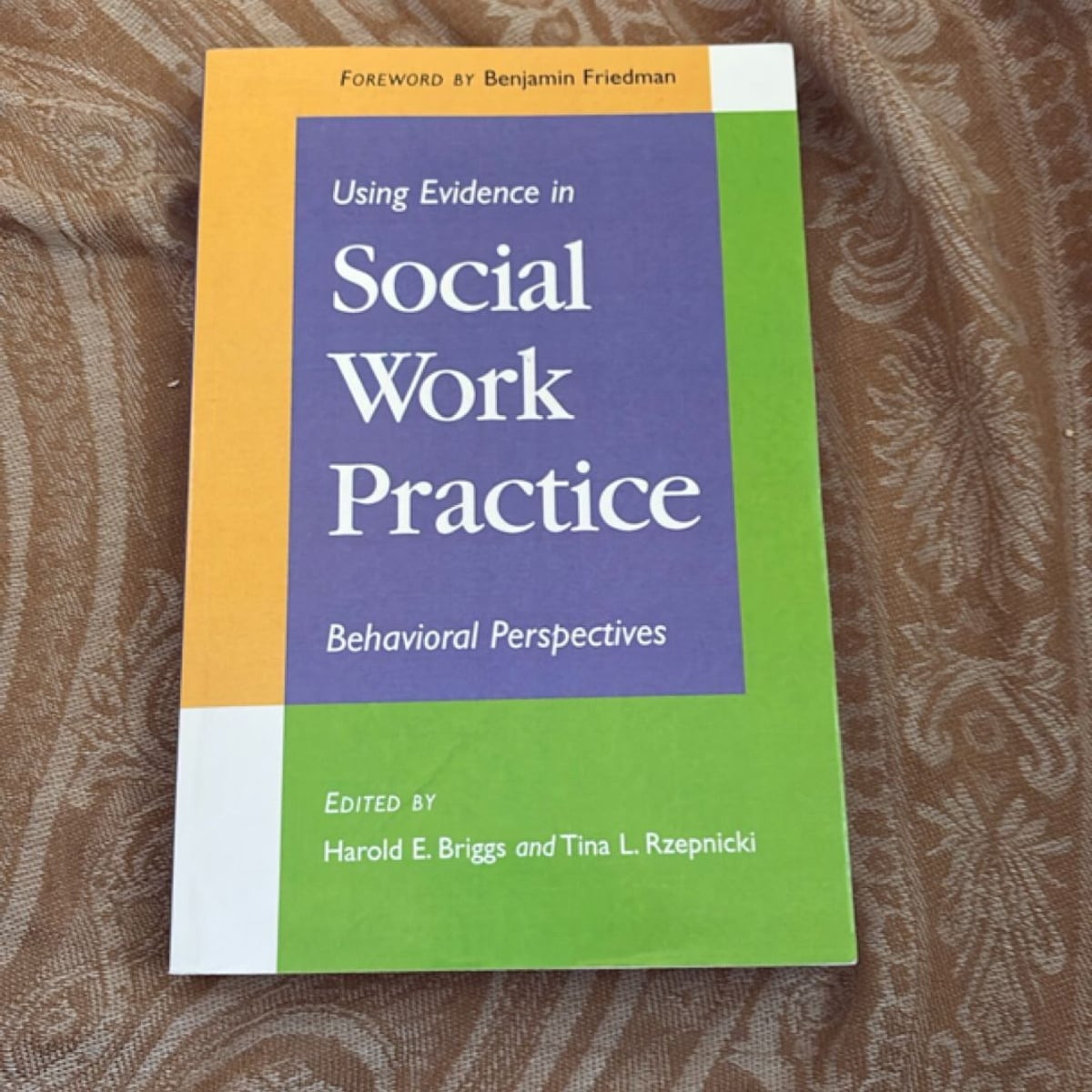 Using Evidence in Social Work Practice by Harold Briggs, Tina Rzepnicki