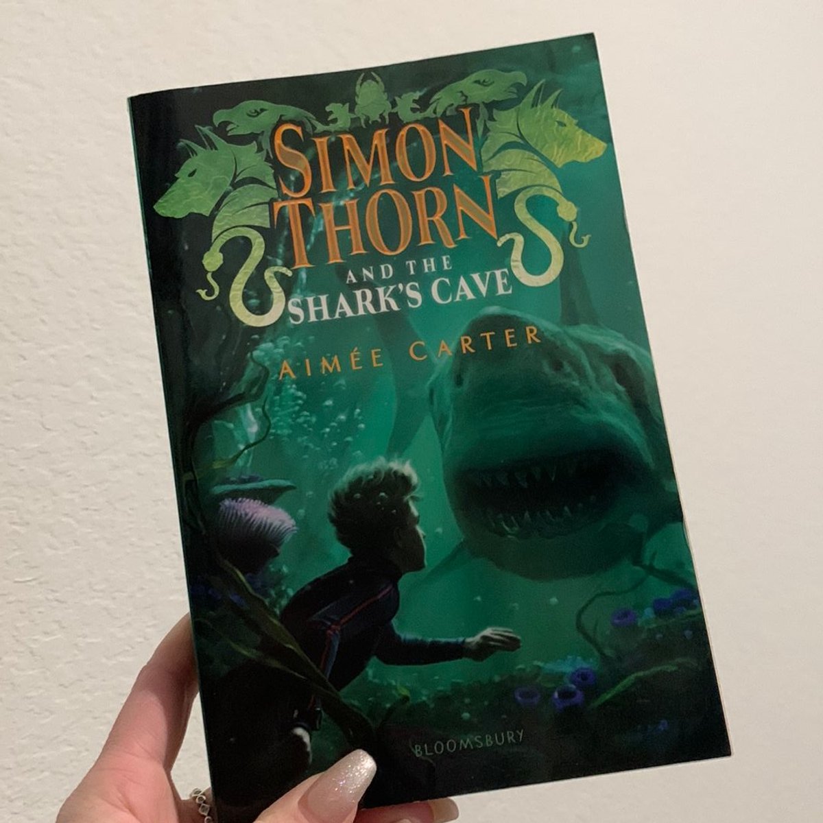 Simon Thorn and the Shark's Cave by Aimée Carter