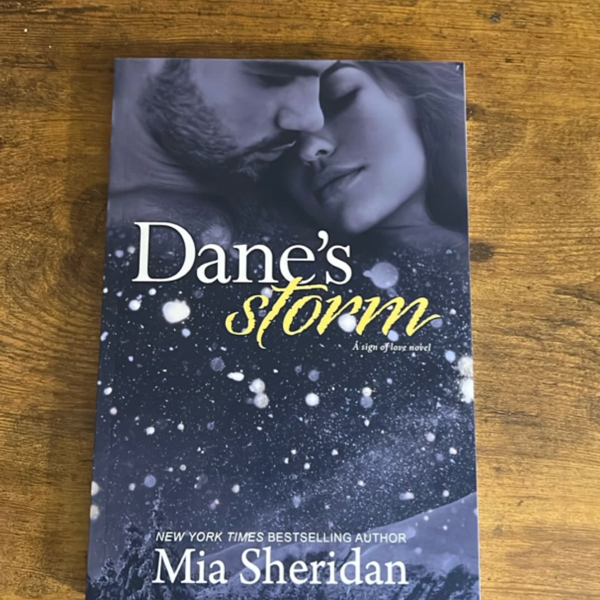 Dane's Storm by Mia Sheridan