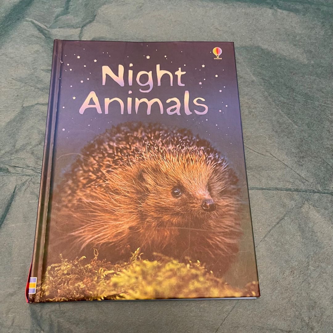 Night Animals