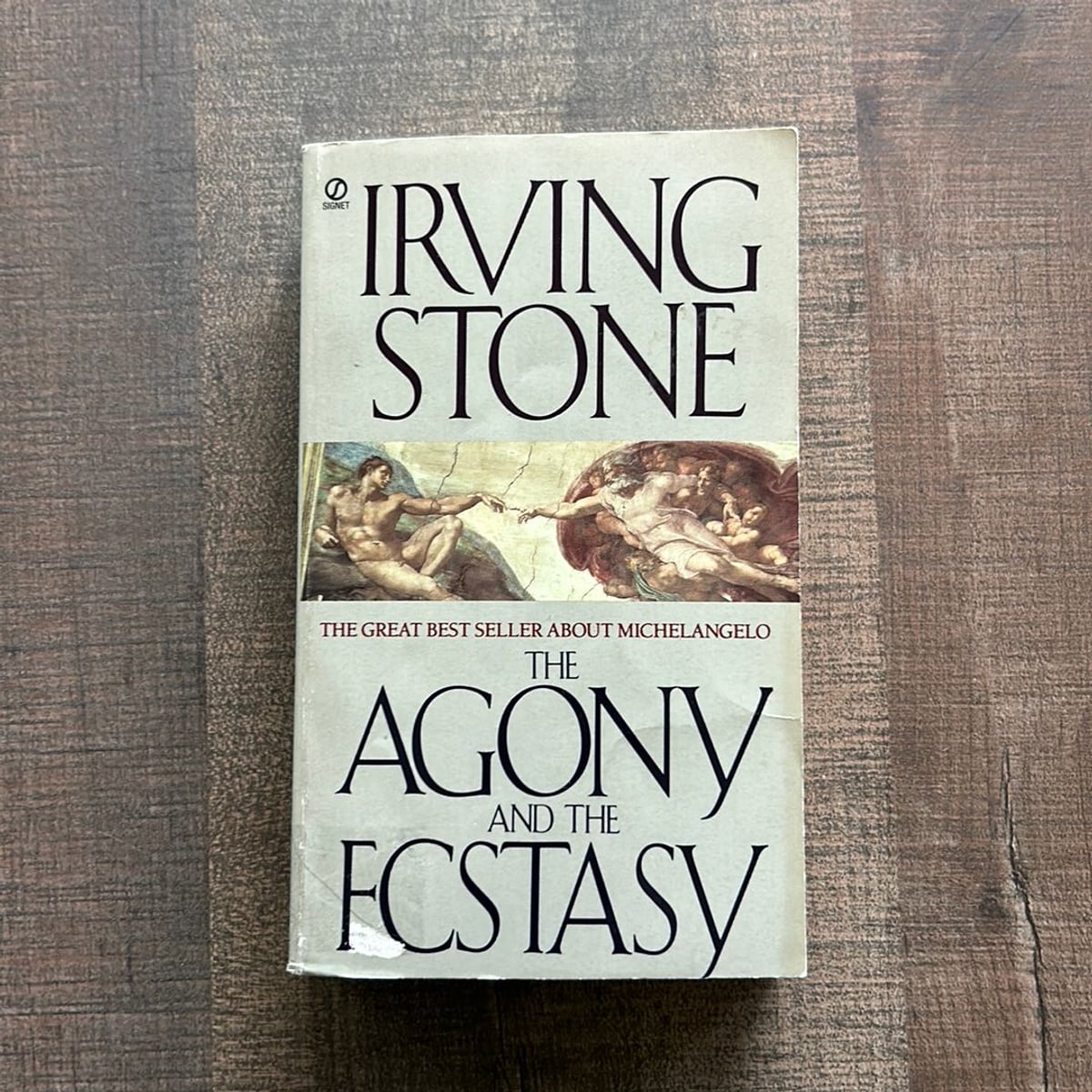 The Agony and the Ecstasy by Irving Stone