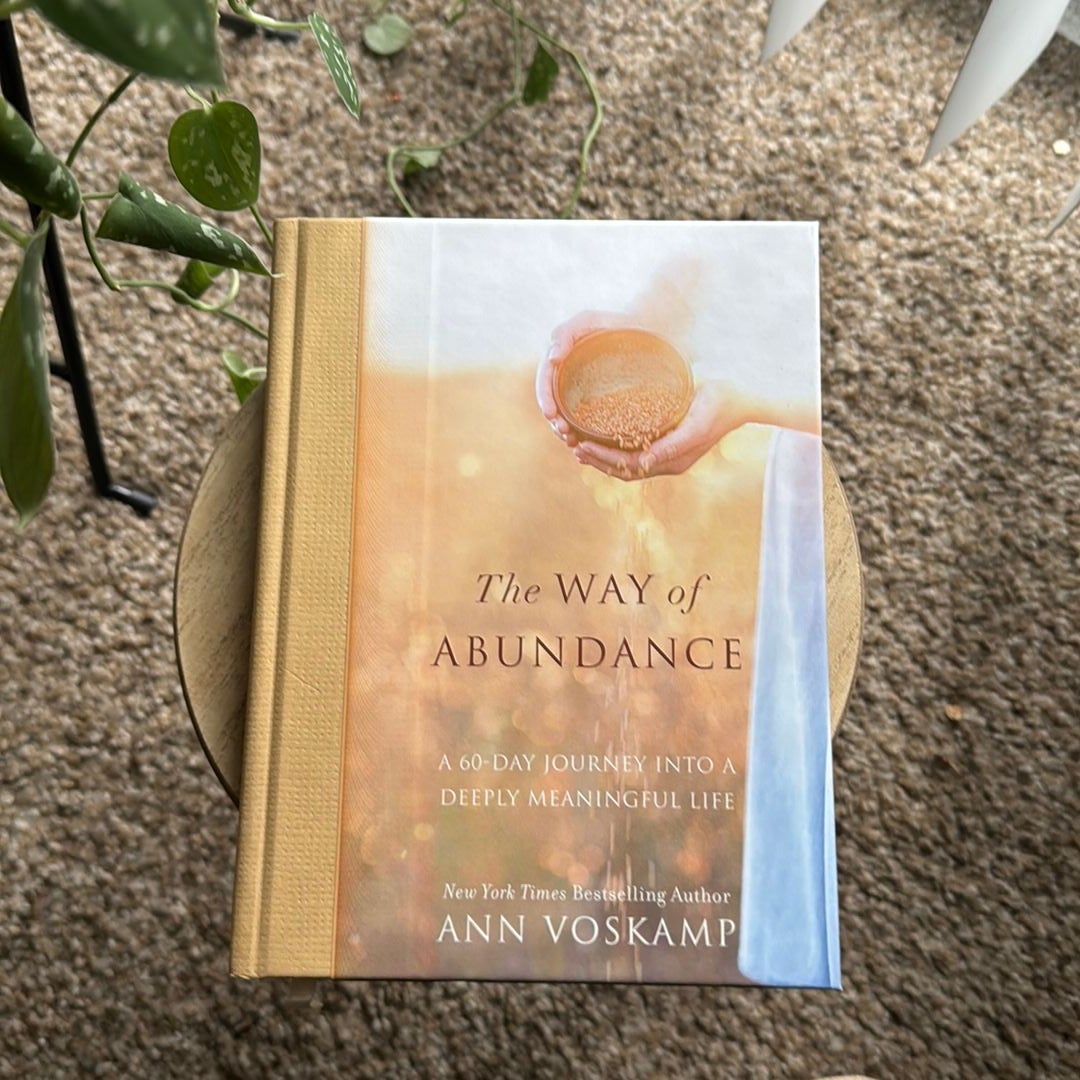 The Way of Abundance by Ann Voskamp