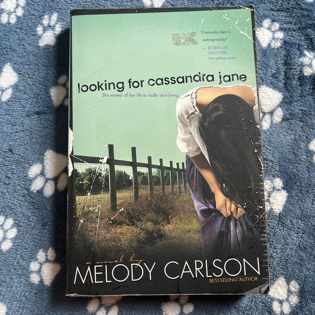 Looking for Cassandra Jane by Melody Carlson