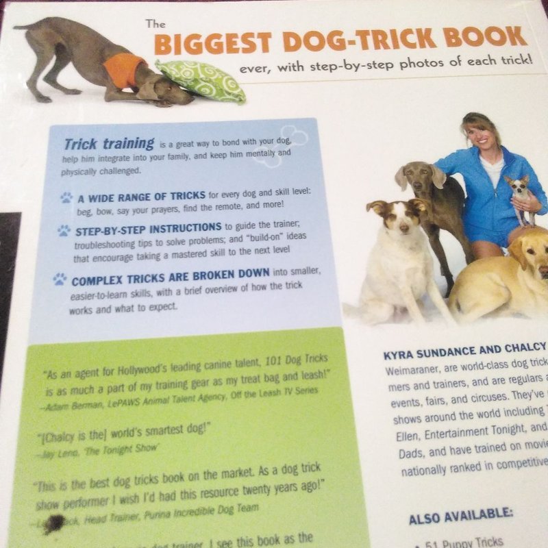 101 Dog Tricks by Kyra Sundance, Chalcy