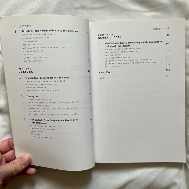 Introduction to Visual Culture by Nicholas Mirzoeff