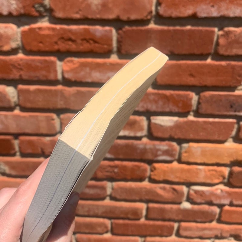 An Invisible Thread by Laura Schroff, Paperback | Pangobooks