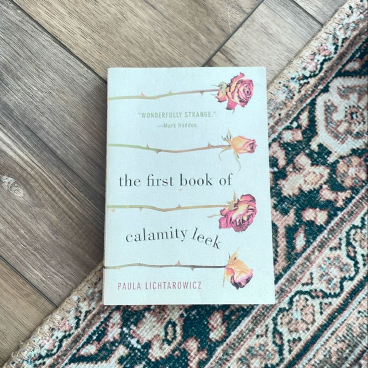 The First Book of Calamity Leek by Paula Lichtarowicz