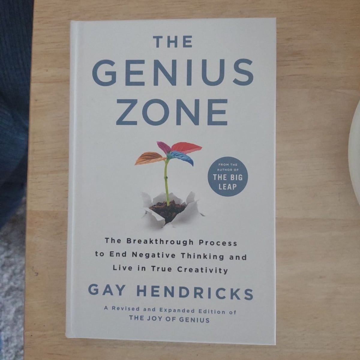 The Genius Zone by Gay Hendricks