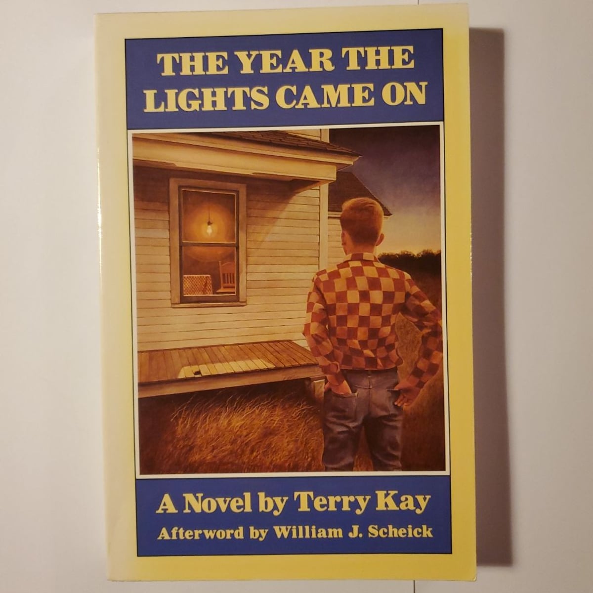 The Year the Lights Came On by Terry Kay