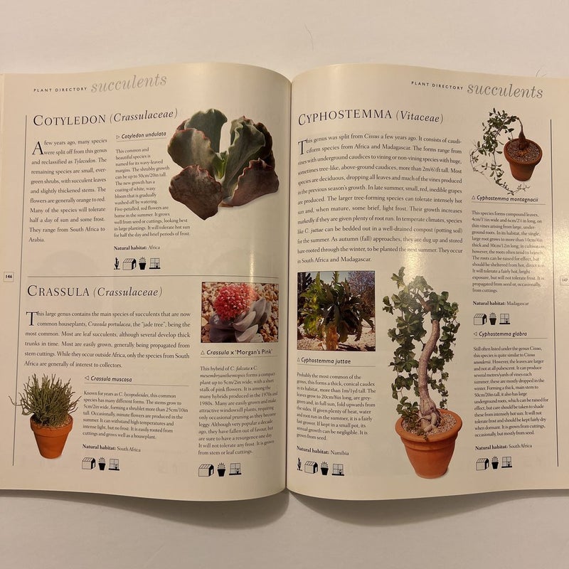 The World Encyclopedia of Cacti & Succulents by Miles Anderson ...