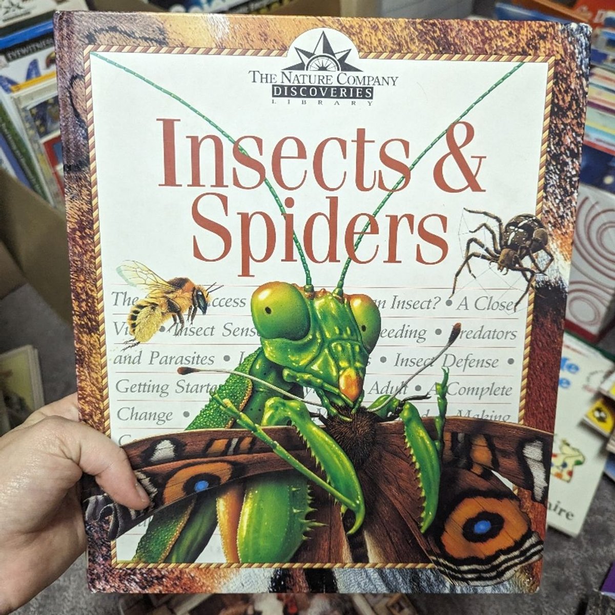 Insects and Spiders by David Burnie