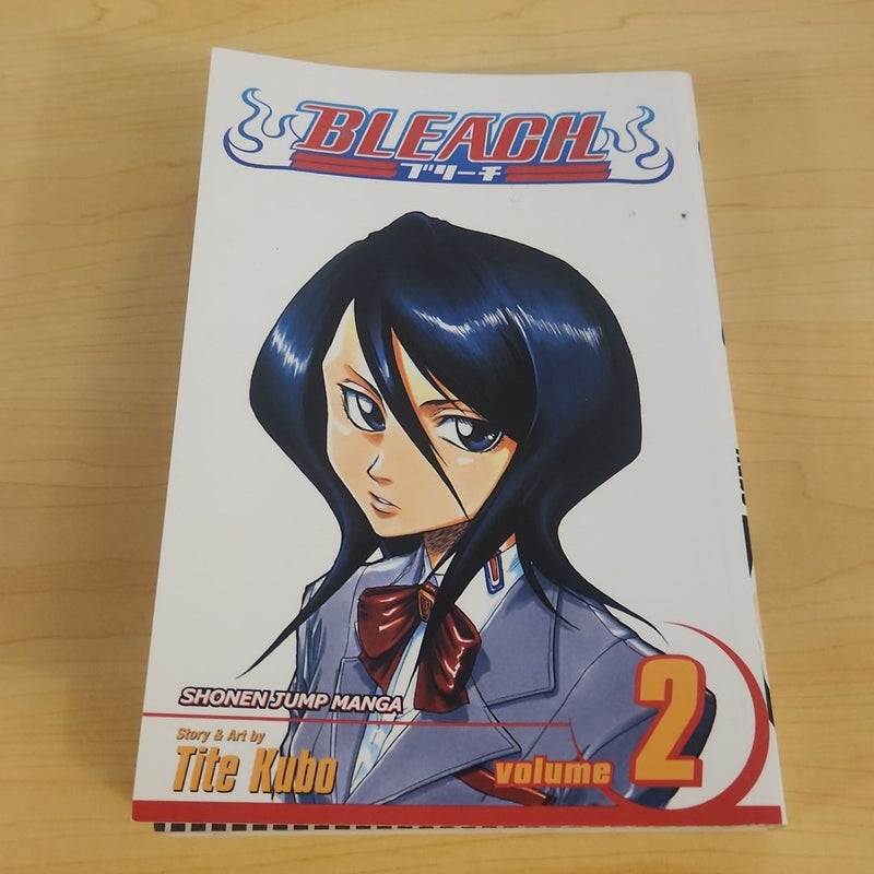 Bleach, Vol. 2 by Tite Kubo, Paperback | Pangobooks