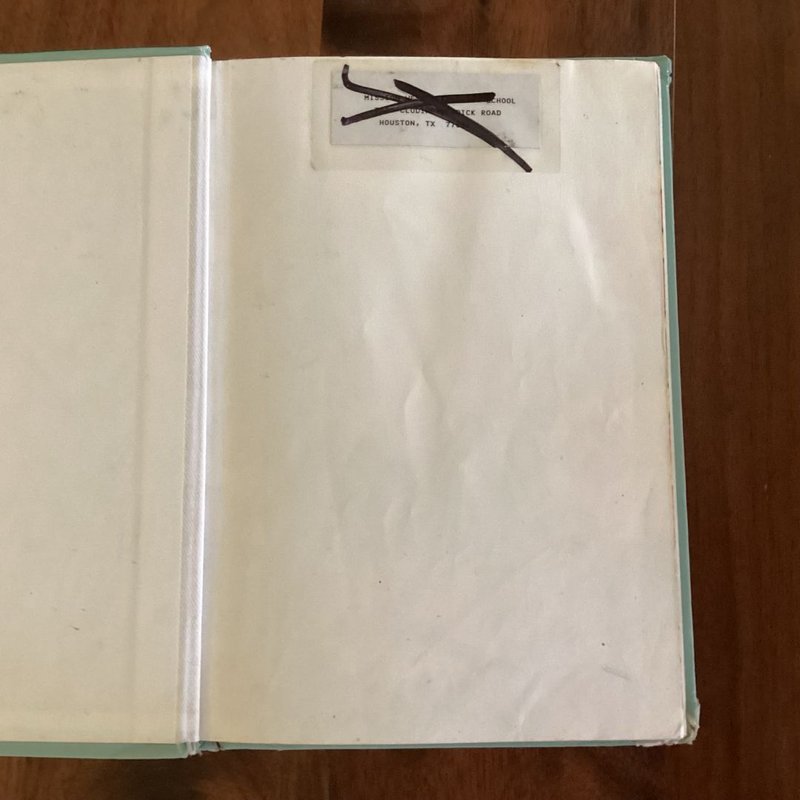 A Big Guy Took My Ball! (an Elephant and Piggie Book) by Mo Willems