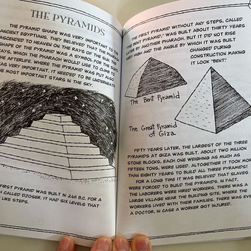 Who Was King Tut? by Roberta Edwards, Who HQ