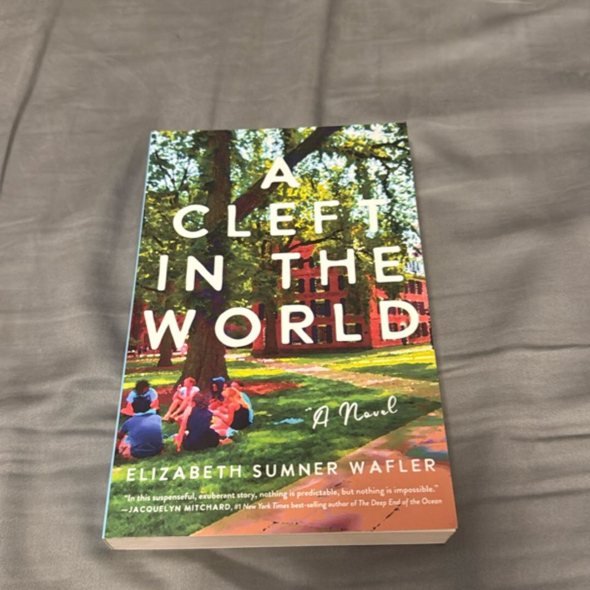 A Cleft in the World by Elizabeth Sumner Wafler