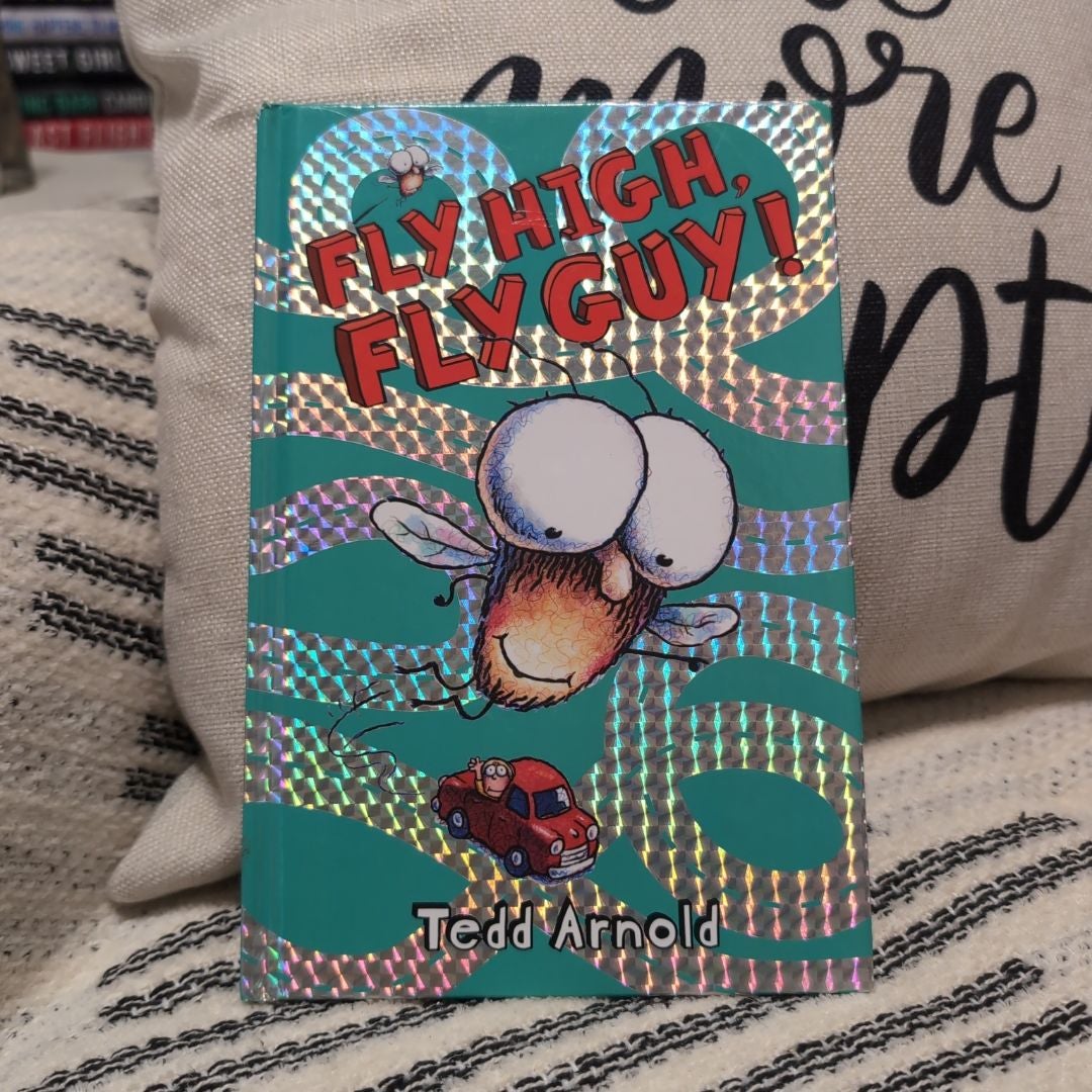 Fly High, Fly Guy! (Fly Guy #5) by Tedd Arnold