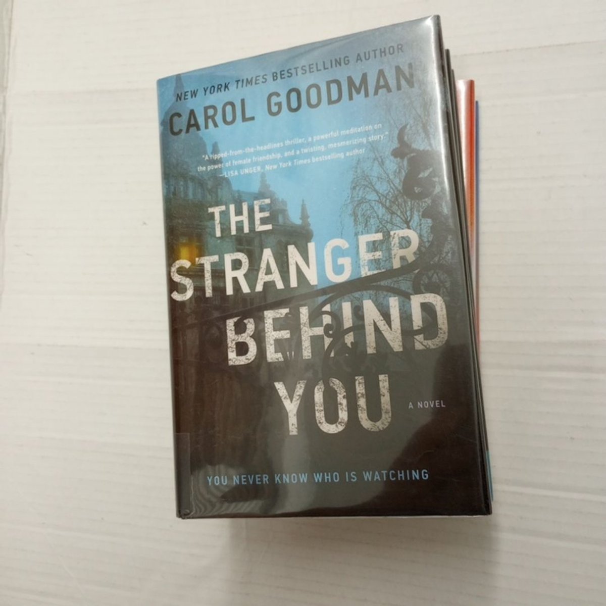 The Stranger Behind You by Carol Goodman