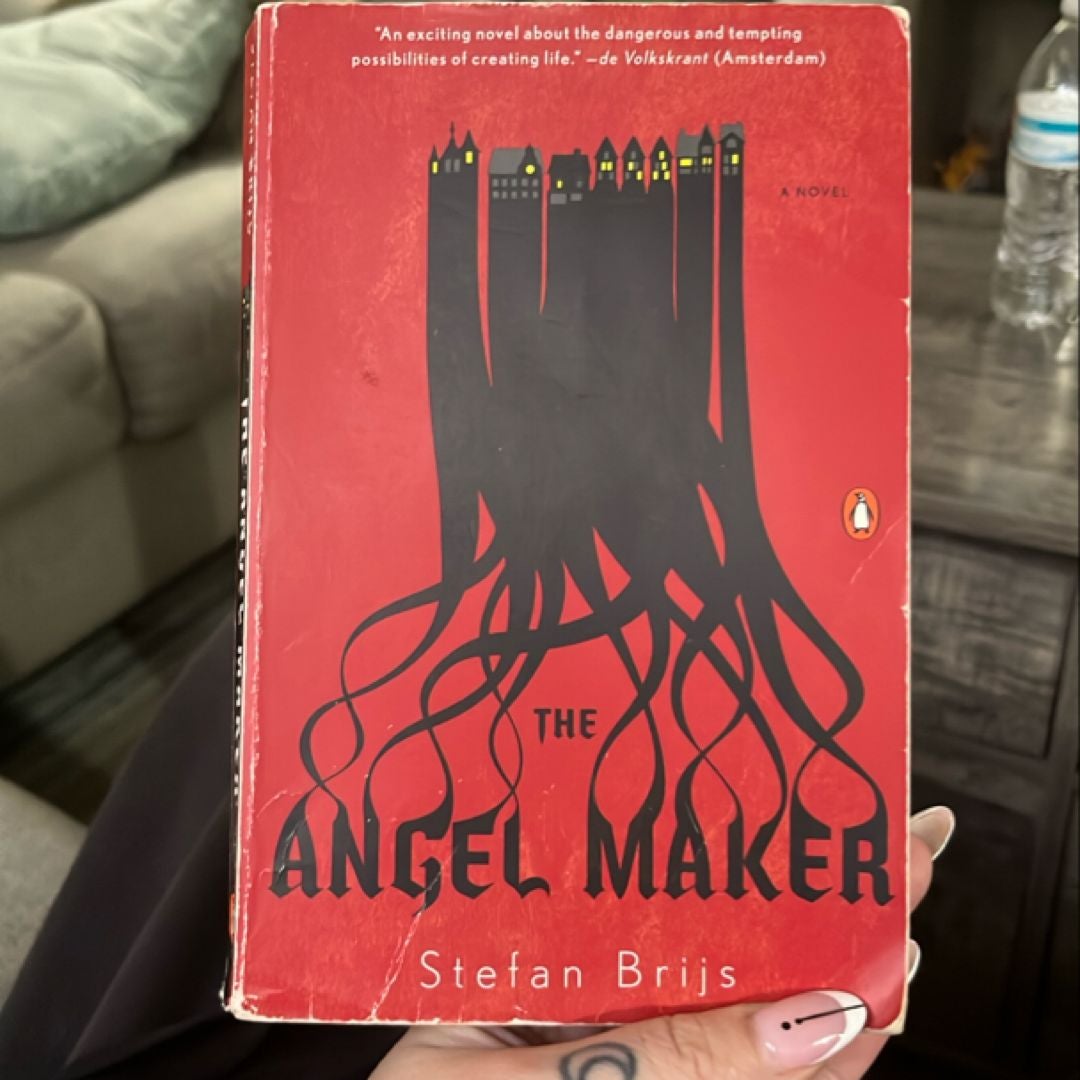 The Angel Maker by Stefan Brijs, Hester Velmans
