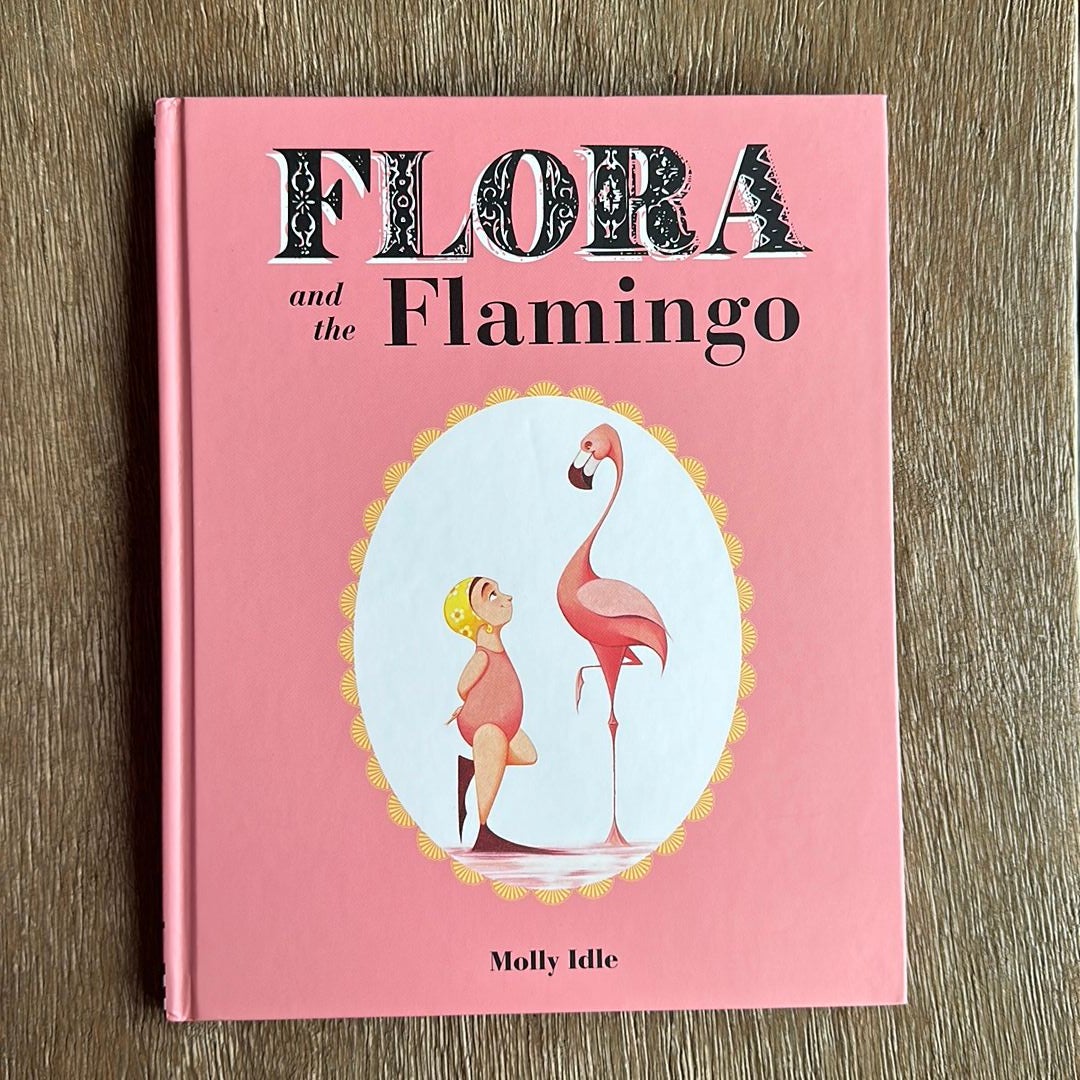 Flora and the Flamingo by Molly Idle