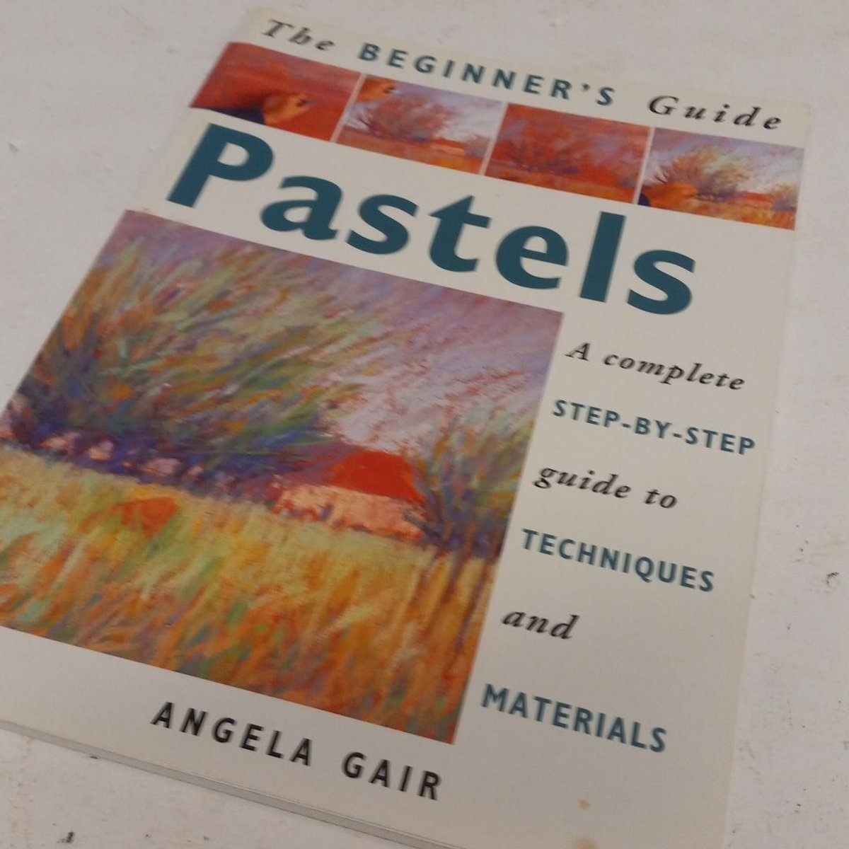 Beginners Guide To Pastels by Angela Gair, Paperback | Pangobooks