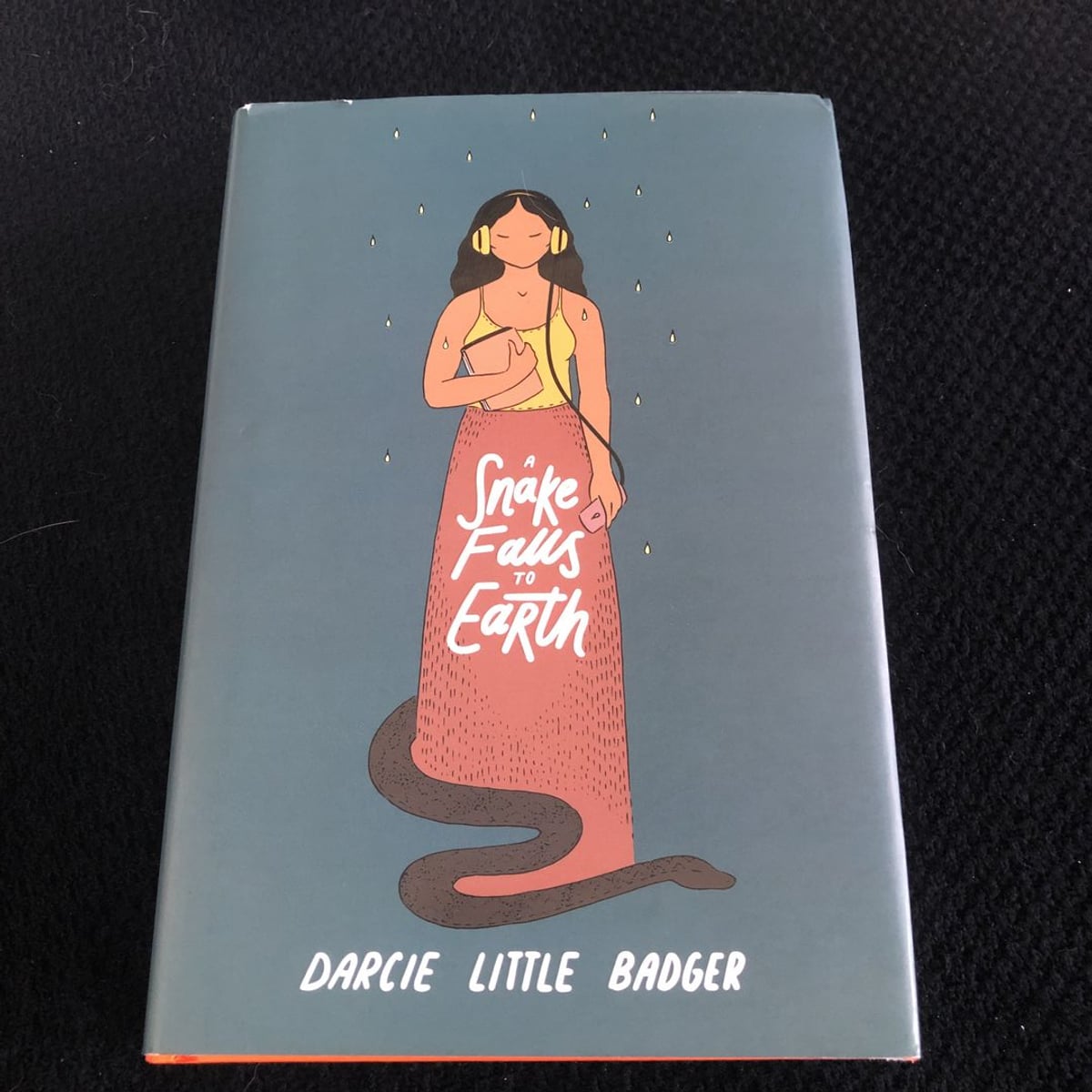 A snake Falls To Earth by Darcie Little Badger, Hardcover | Pangobooks