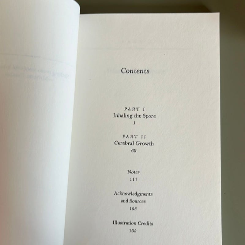 Mr. Wilson's Cabinet of Wonder by Lawrence Weschler, Paperback | Pangobooks