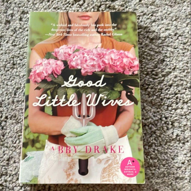 Good Little Wives by Abby Drake