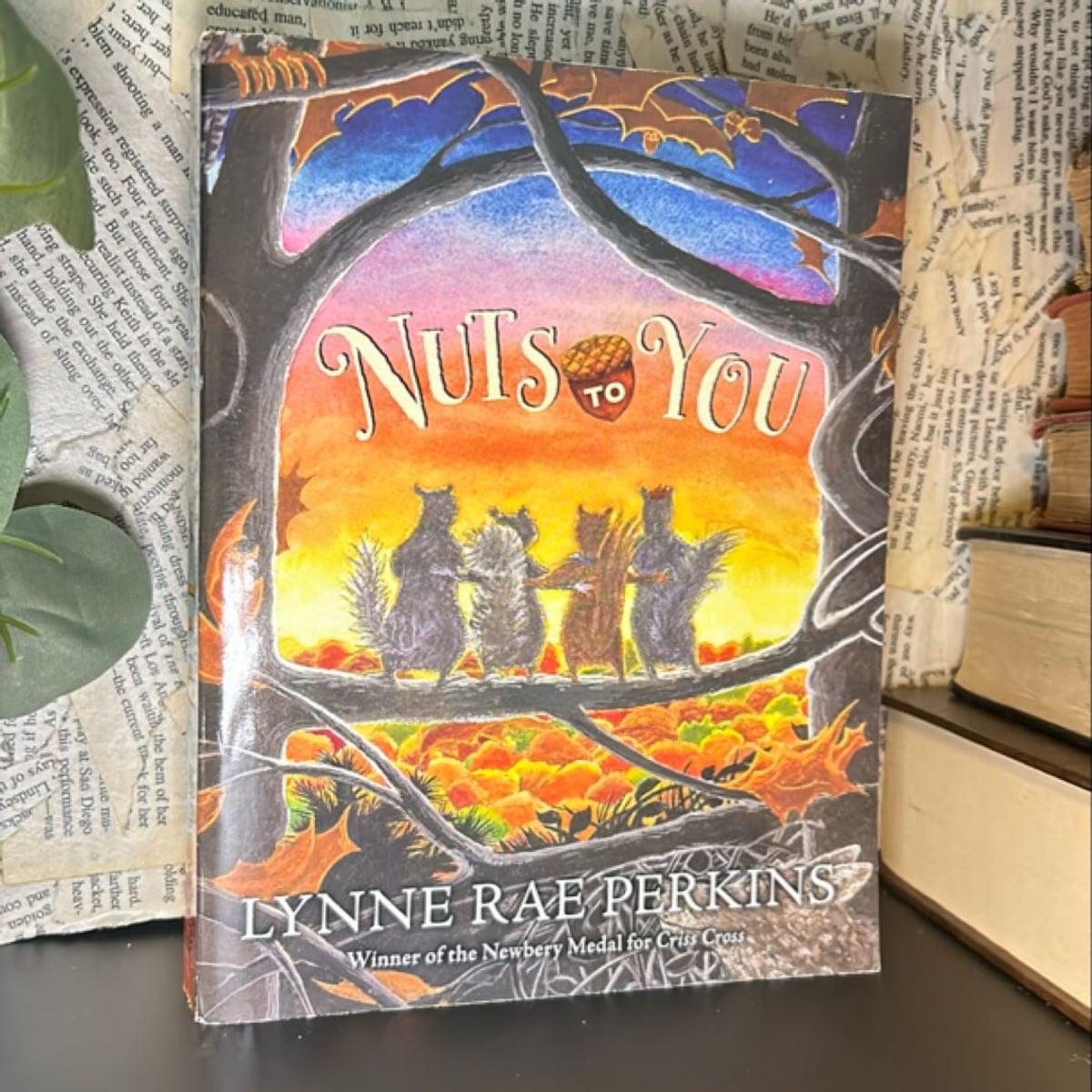 Nuts to You by Lynne Rae Perkins