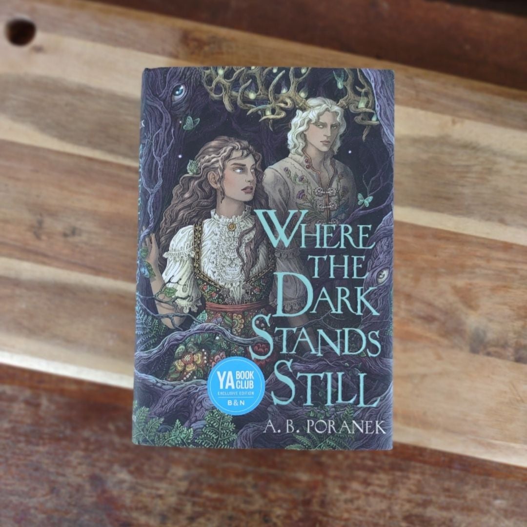 Where The Dark Stands Still by A. B. Poranek, Hardcover | Pangobooks