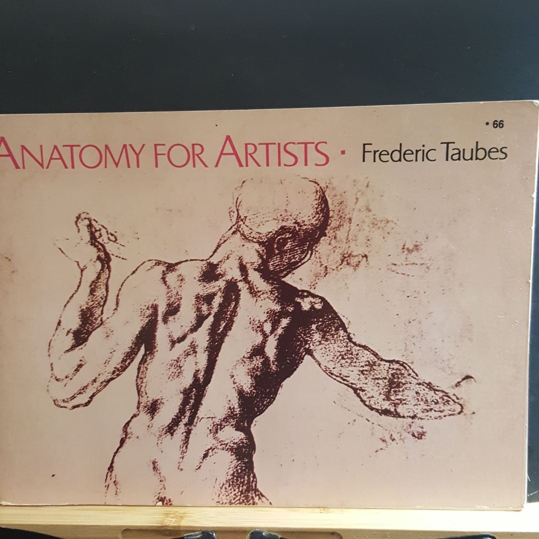 Anatomy or artists by Frederic Taubes, Paperback | Pangobooks