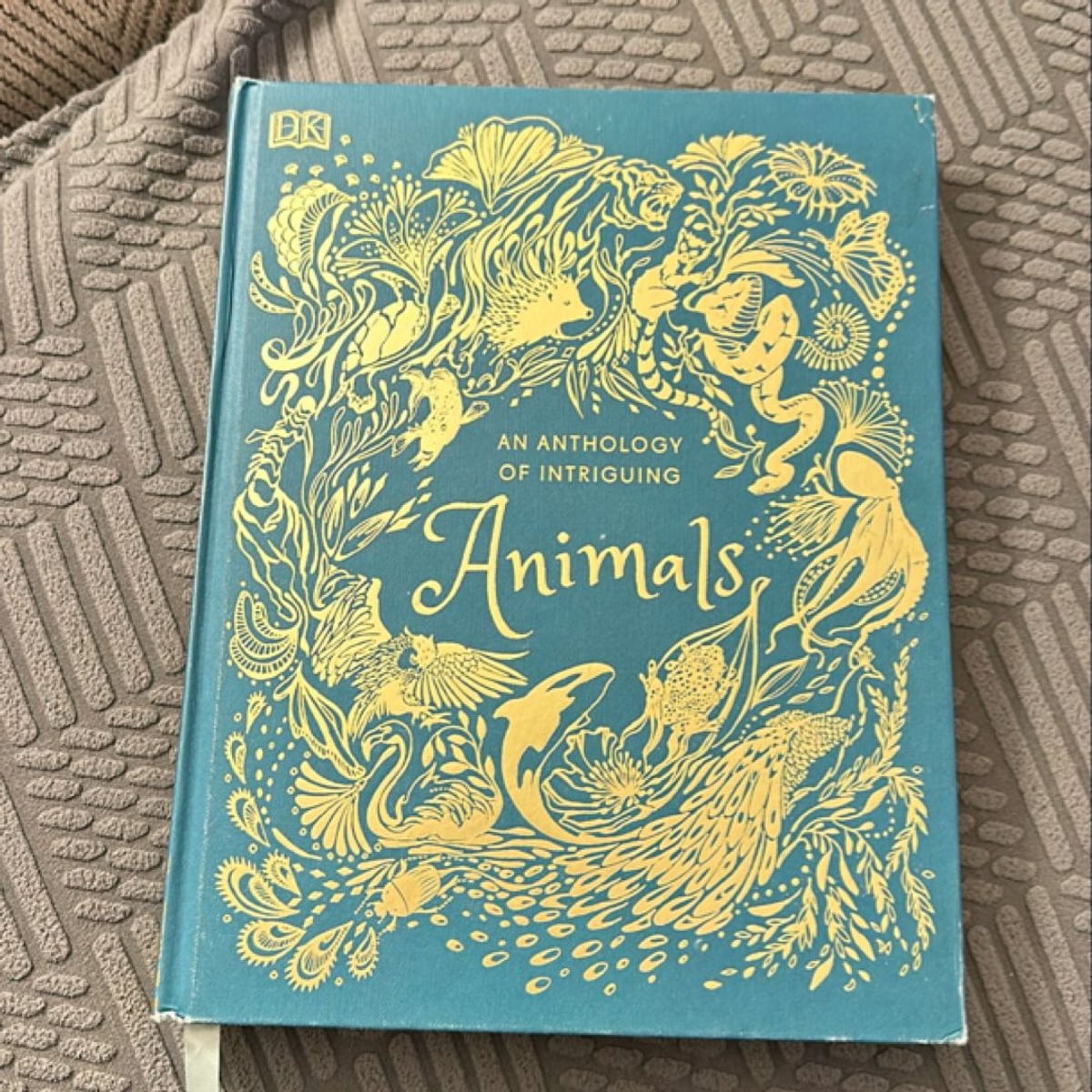 An Anthology of Intriguing Animals by DK, Hardcover | Pangobooks