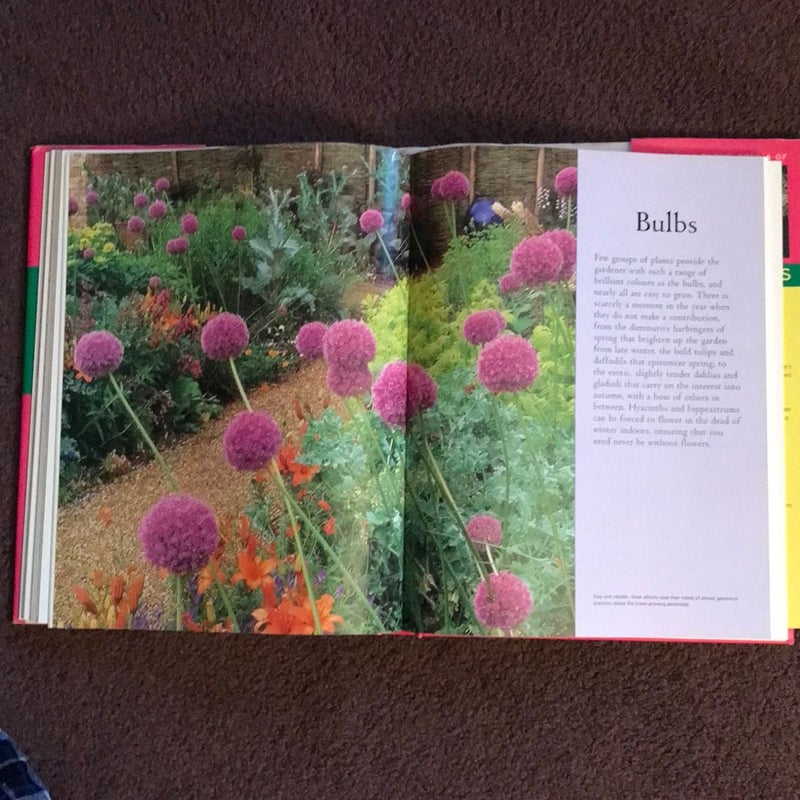 The Visual Encyclopedia of Garden Plants by Andrew Mikolajski, Hardcover | Pangobooks