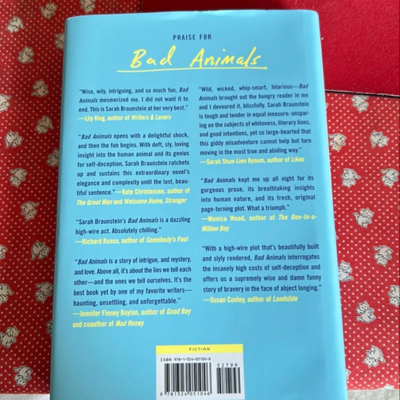 Bad Animals by Sarah Braunstein, Hardcover | Pangobooks