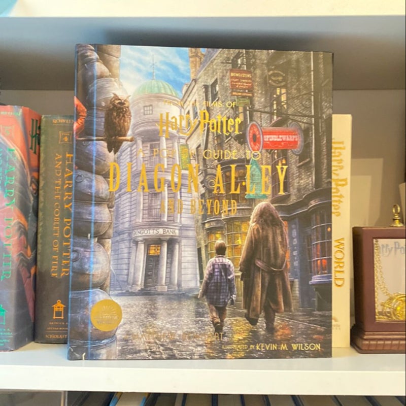 Harry Potter: a Pop-Up Guide to Diagon Alley and Beyond by Matthew ...