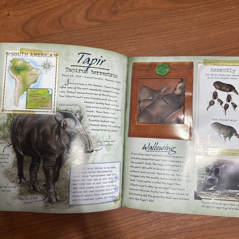 Guide to Rain Forest Animals by Nancy Honovich