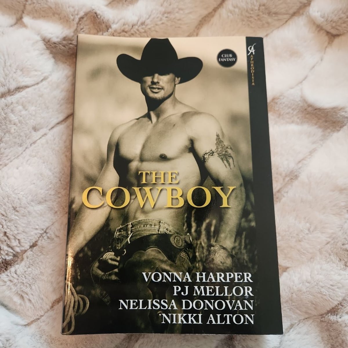 The Cowboy by Nelissa Donovan, Vonna Harper, Nikki Alton, P. J. Mellor