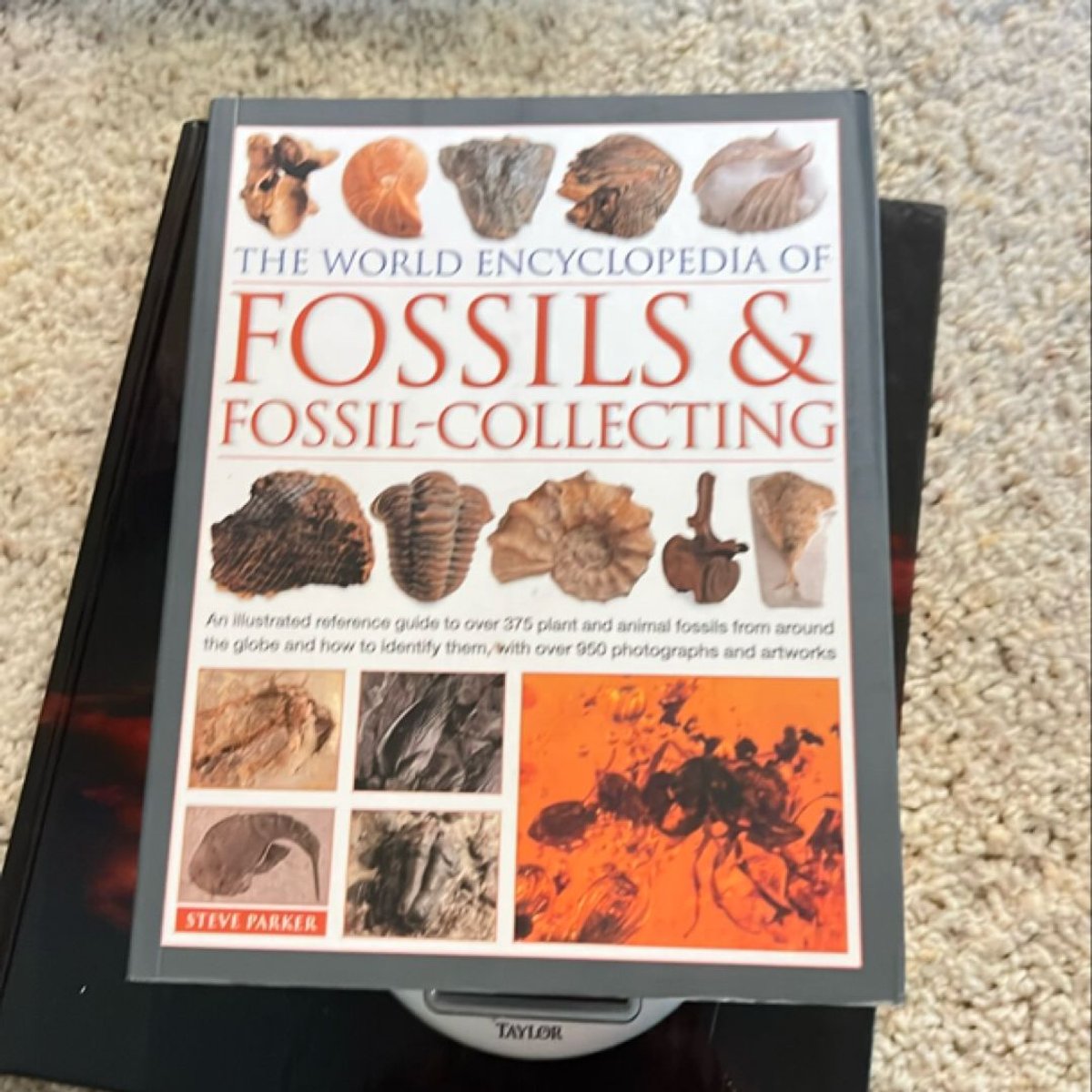 The World Encyclopedia of Fossils and Fossil-Collecting by Steve Parker