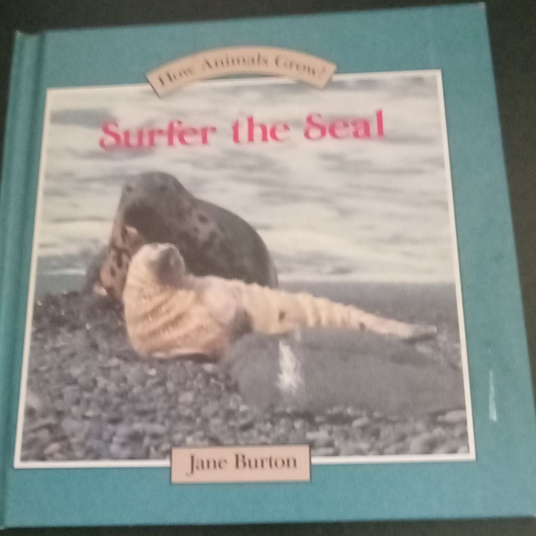 Surfer the Seal by Jane Burton, Hardcover | Pangobooks