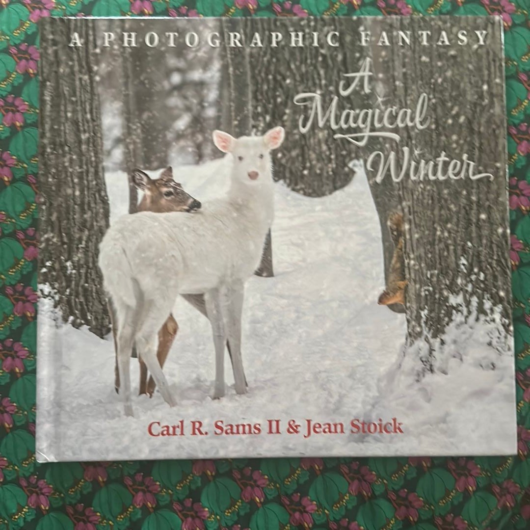 A Magical Winter by Carl R. Sams II