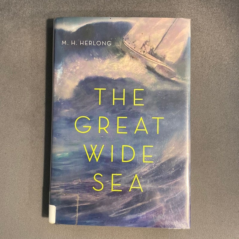 The Great Wide Sea by M. H. Herlong, Hardcover | Pangobooks