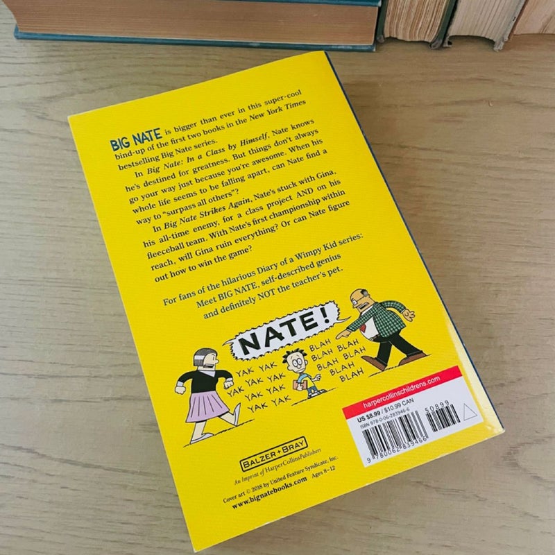 Big Nate: Double Trouble by Lincoln Peirce
