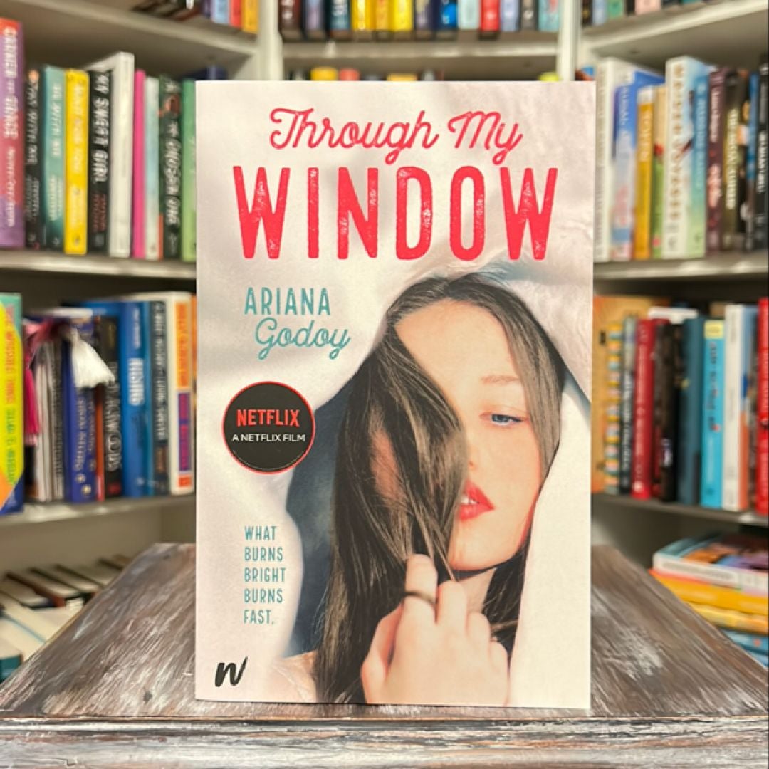 Through My Window by Ariana Godoy