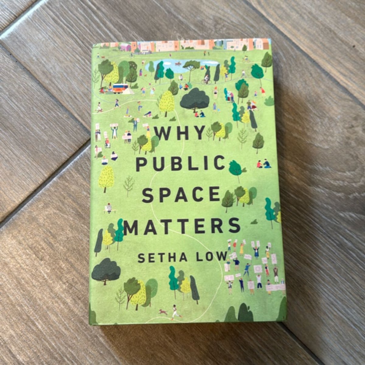 Why Public Space Matters by Setha Low