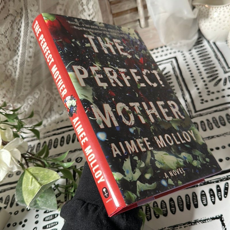The Perfect Mother by Aimee Molloy, Hardcover | Pangobooks
