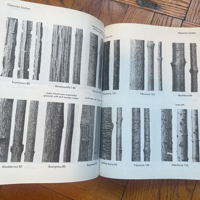 Shrub Identification Book by George W. Symonds