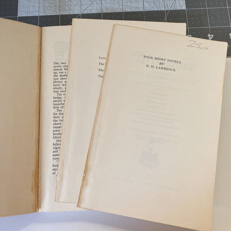 4 Short Novels of DH Lawrence by D.H. Lawrence, Paperback | Pangobooks