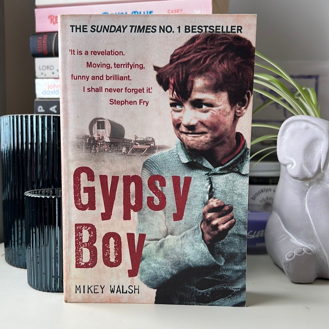 Gypsy Boy by Mikey Walsh
