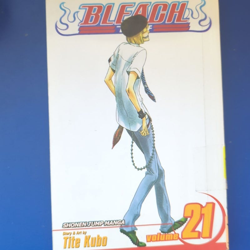 Bleach, Vol. 21