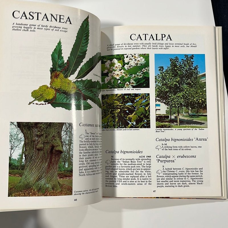Trees for Your Garden by Roy Lancaster