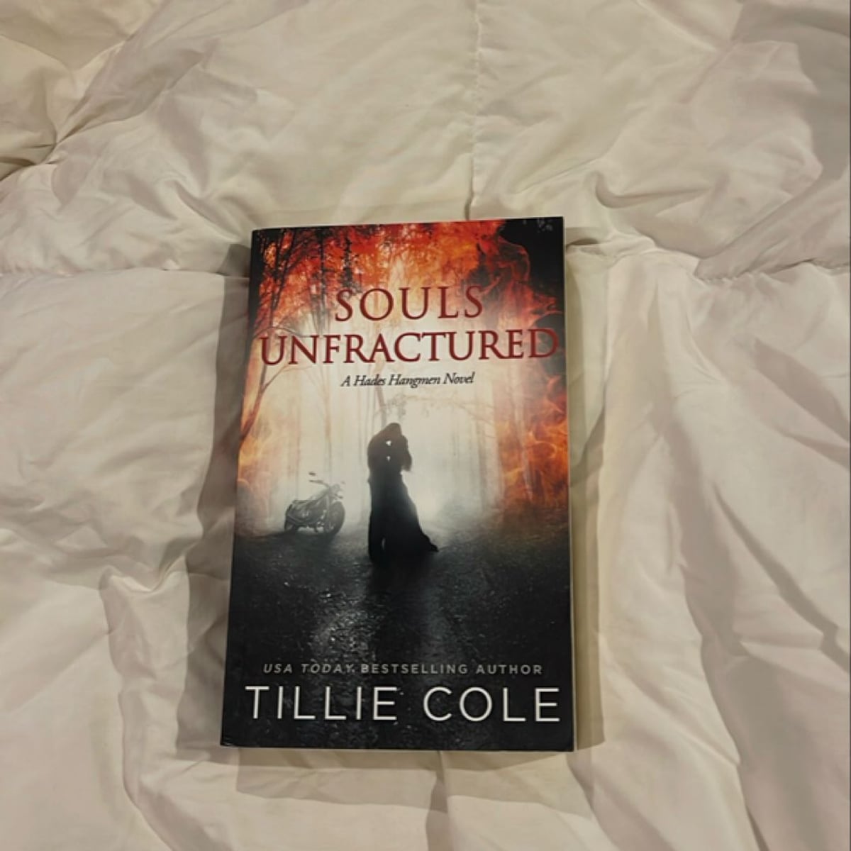 Souls Unfractured by Tillie Cole